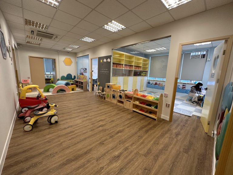 Overview – Bridge Academy